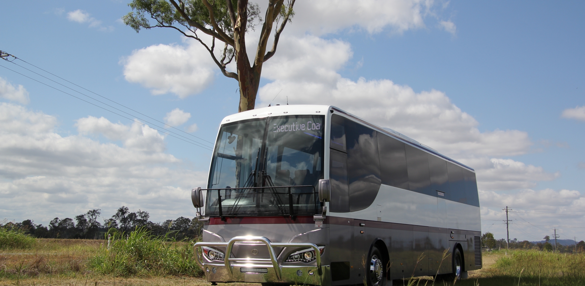 Deluxe Coachlines - Coach Design